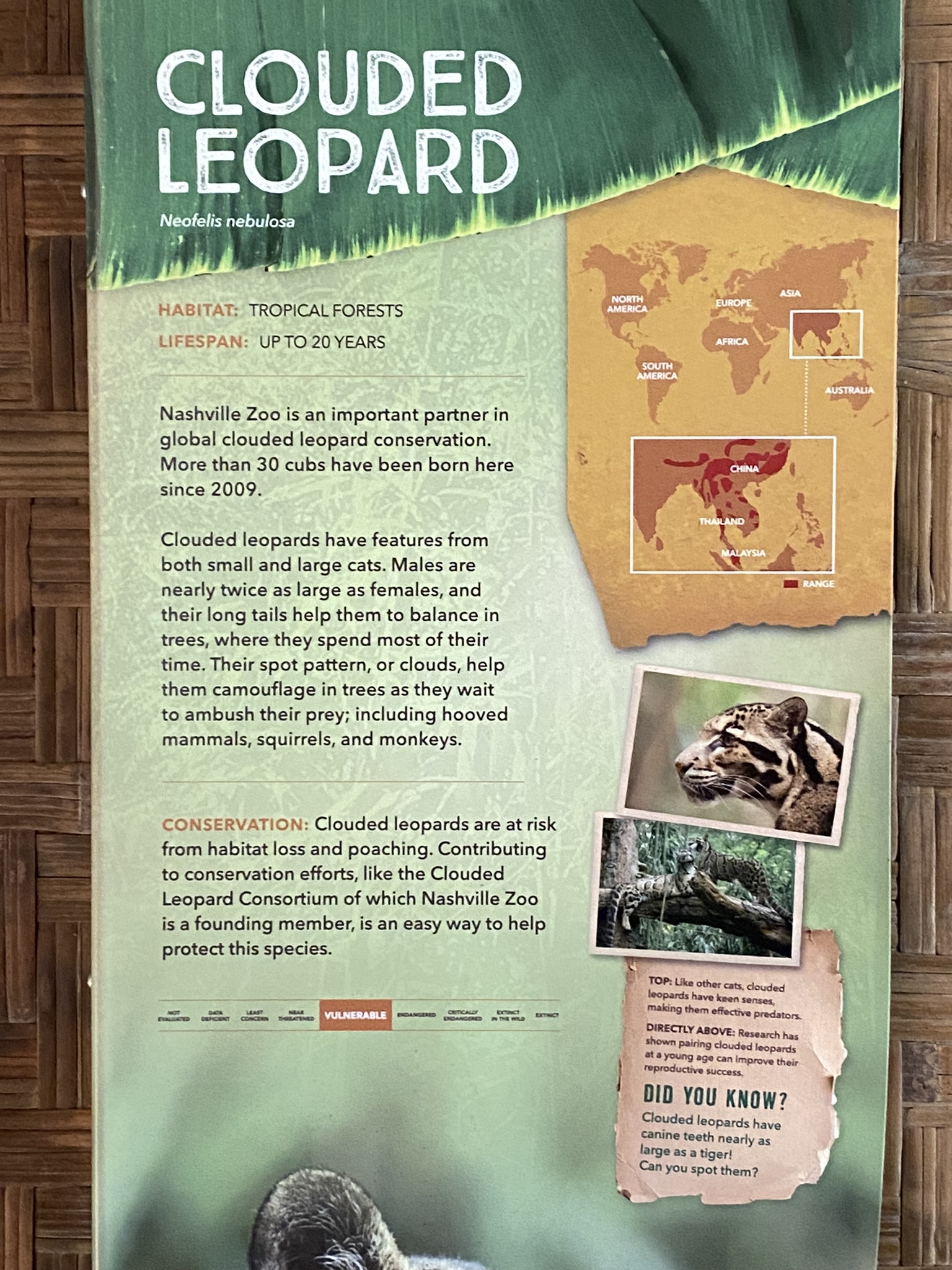 TLC Partners with Nashville Zoo • Tennessee Language Center